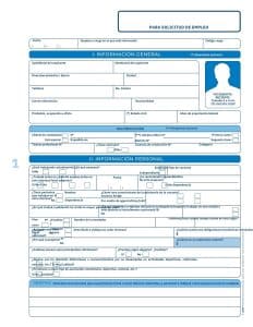 Hoja de Vida Minerva 1003: Descargar PDF | Editar en Línea. 2024